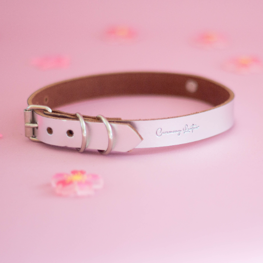 Metallic Silver Slim Collar - Ceremony Leather