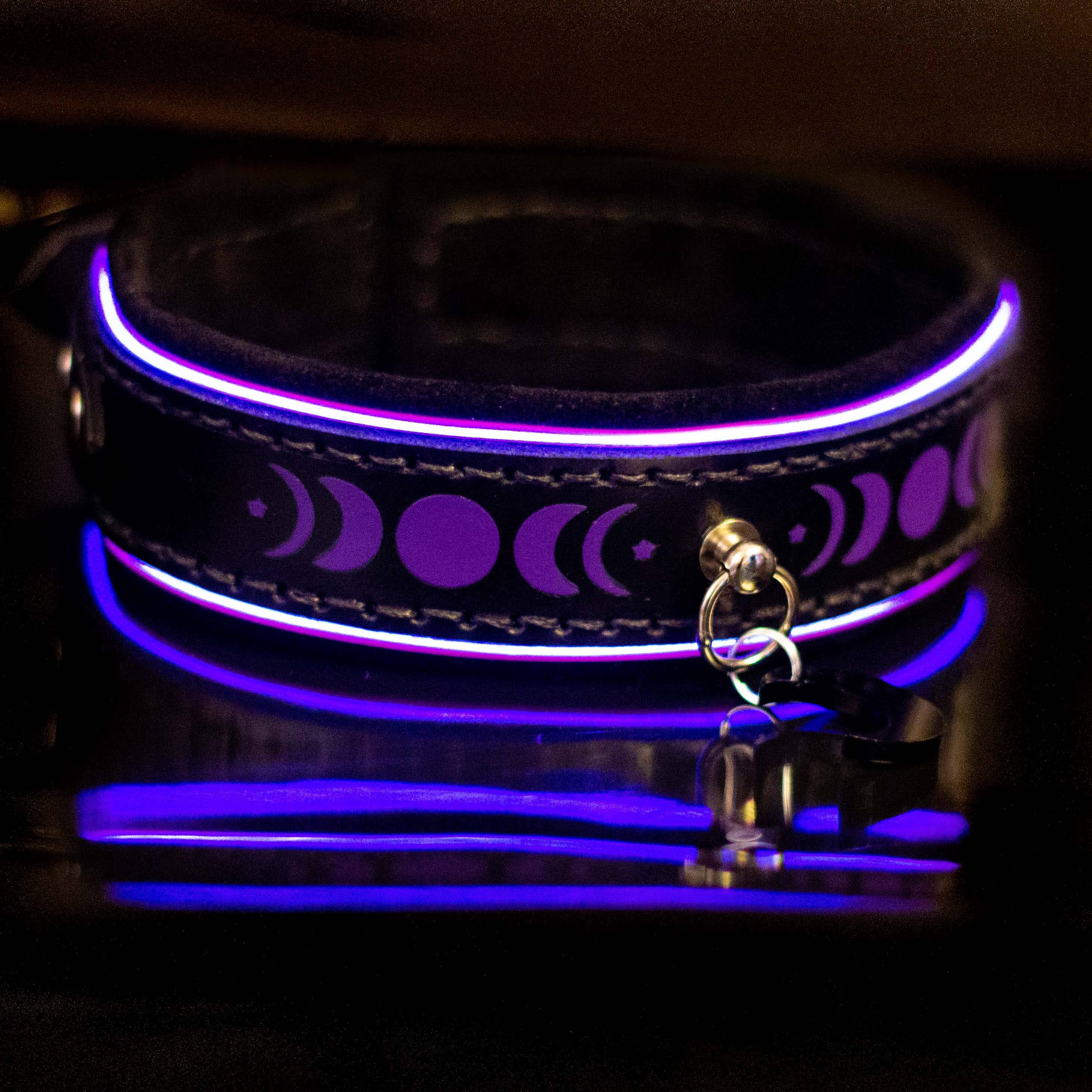 Custom Neon Light-Up Collar - Ceremony Leather