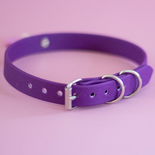 Vegan Purple Biothane Collar - Ceremony Leather