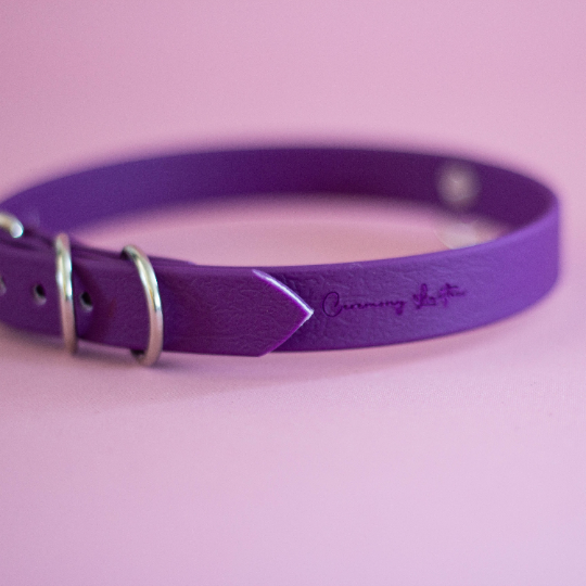 Vegan Purple Biothane Collar - Ceremony Leather